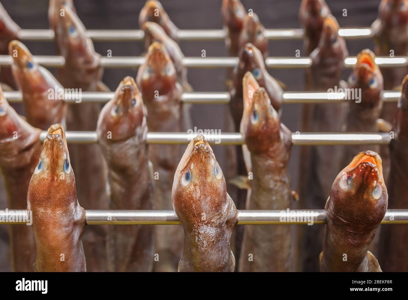 Smoked eel hi-res stock photography and images - Alamy