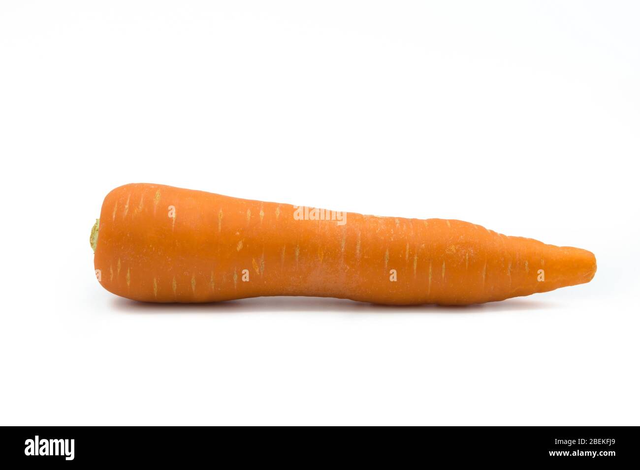 One Single Carrot