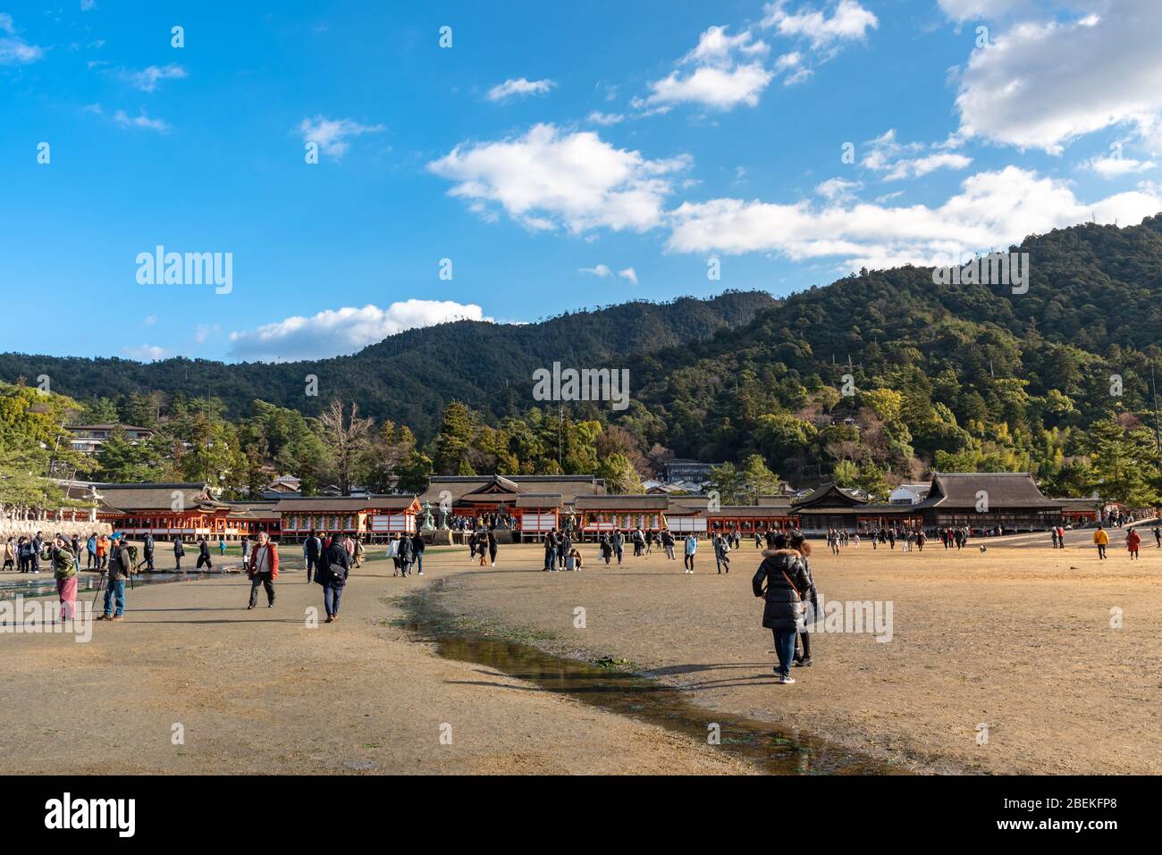 Itsukushima Shrine on Miyajima island during New Year Japanese ...