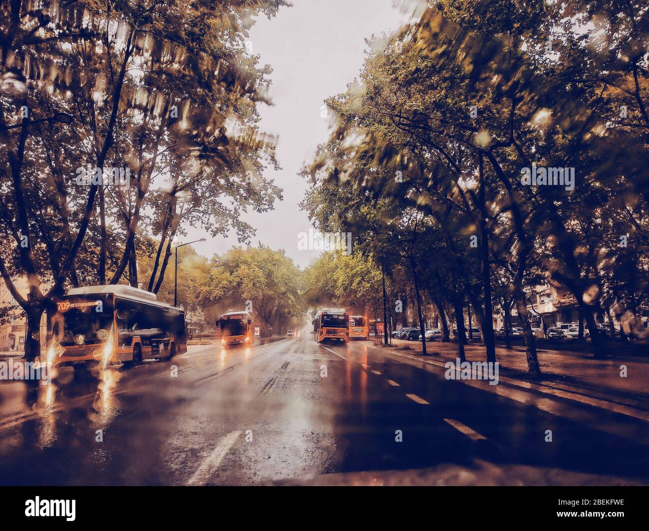 Rainy day in quarantine hi-res stock photography and images - Alamy