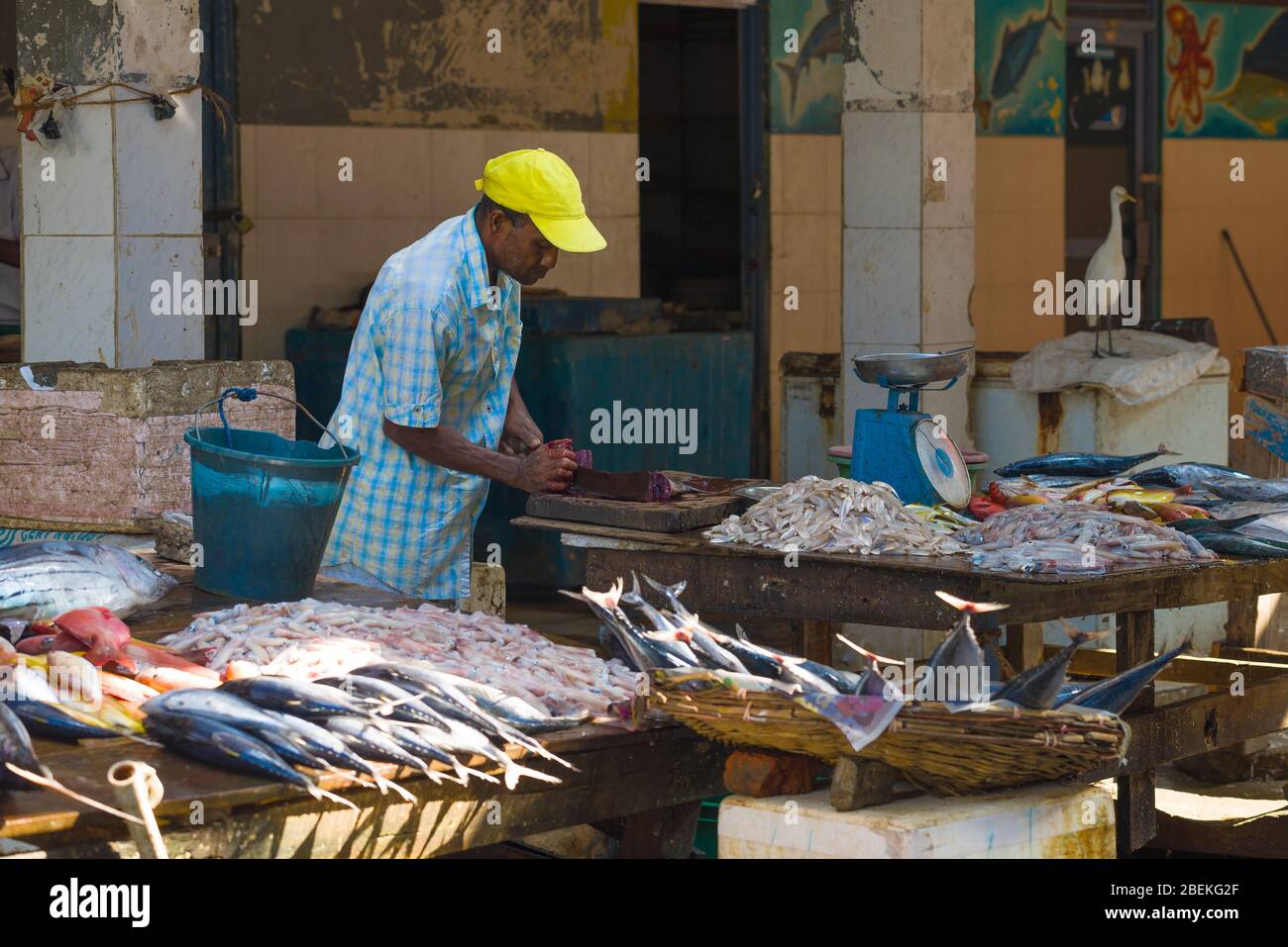 Malé fish market hi-res stock photography and images - Alamy