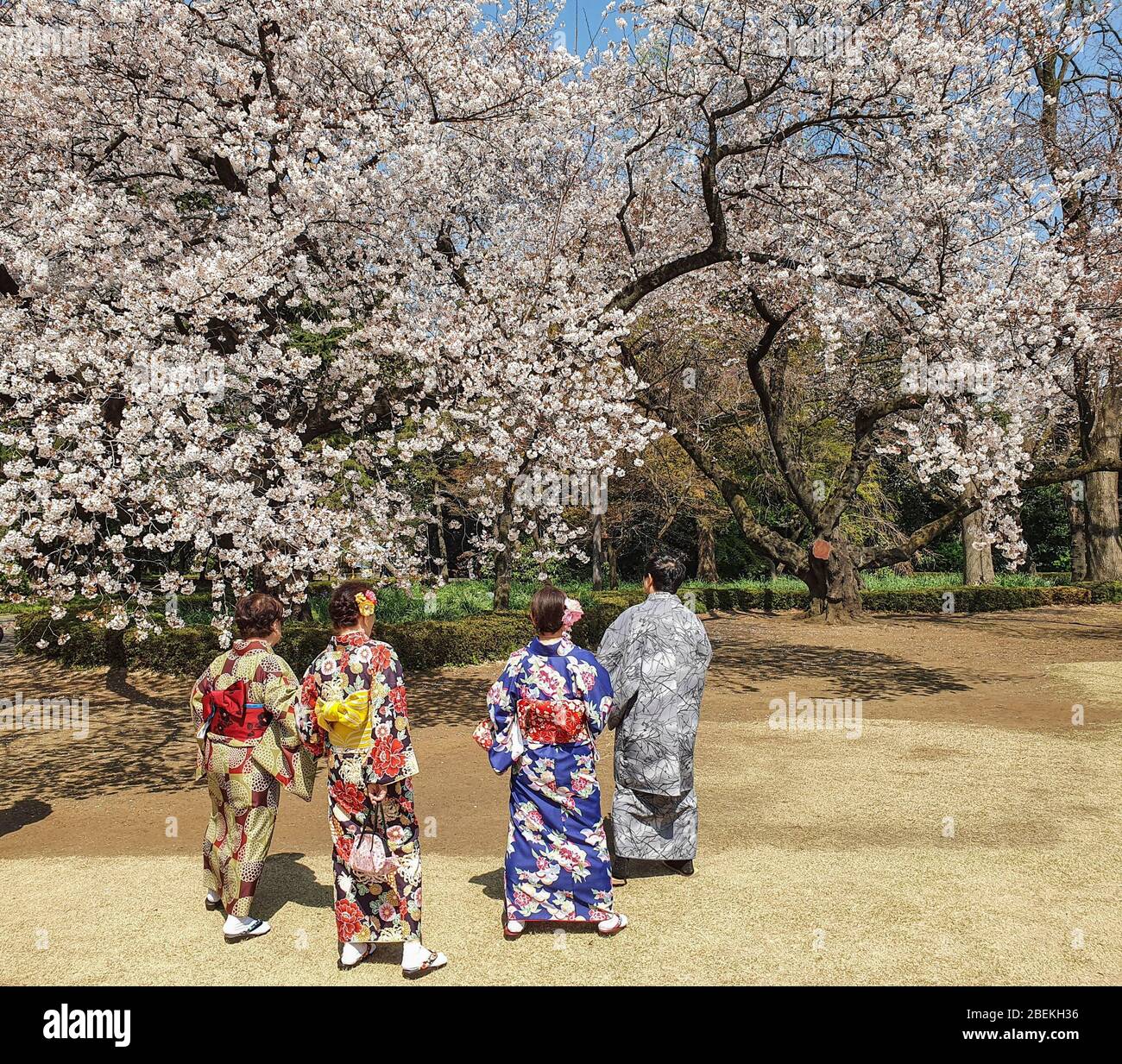 Parc national japonais hi-res stock photography and images - Alamy