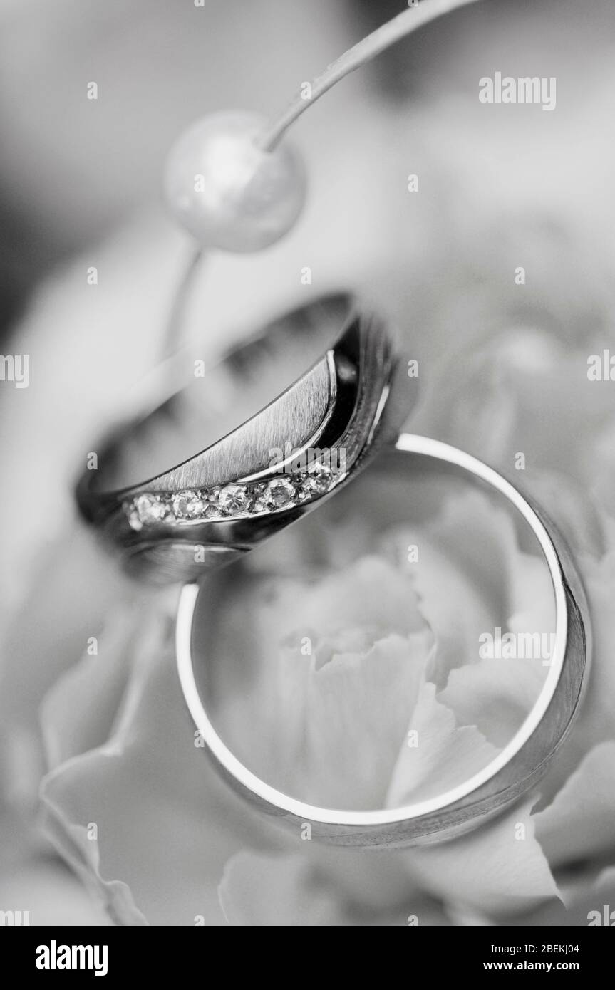 The silver wedding rings with small stones Stock Photo - Alamy