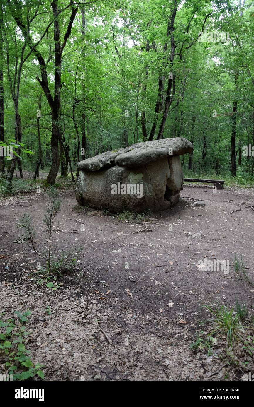 Dolmen in Shapsug. Forest in the city near the village of Shapsugskaya ...