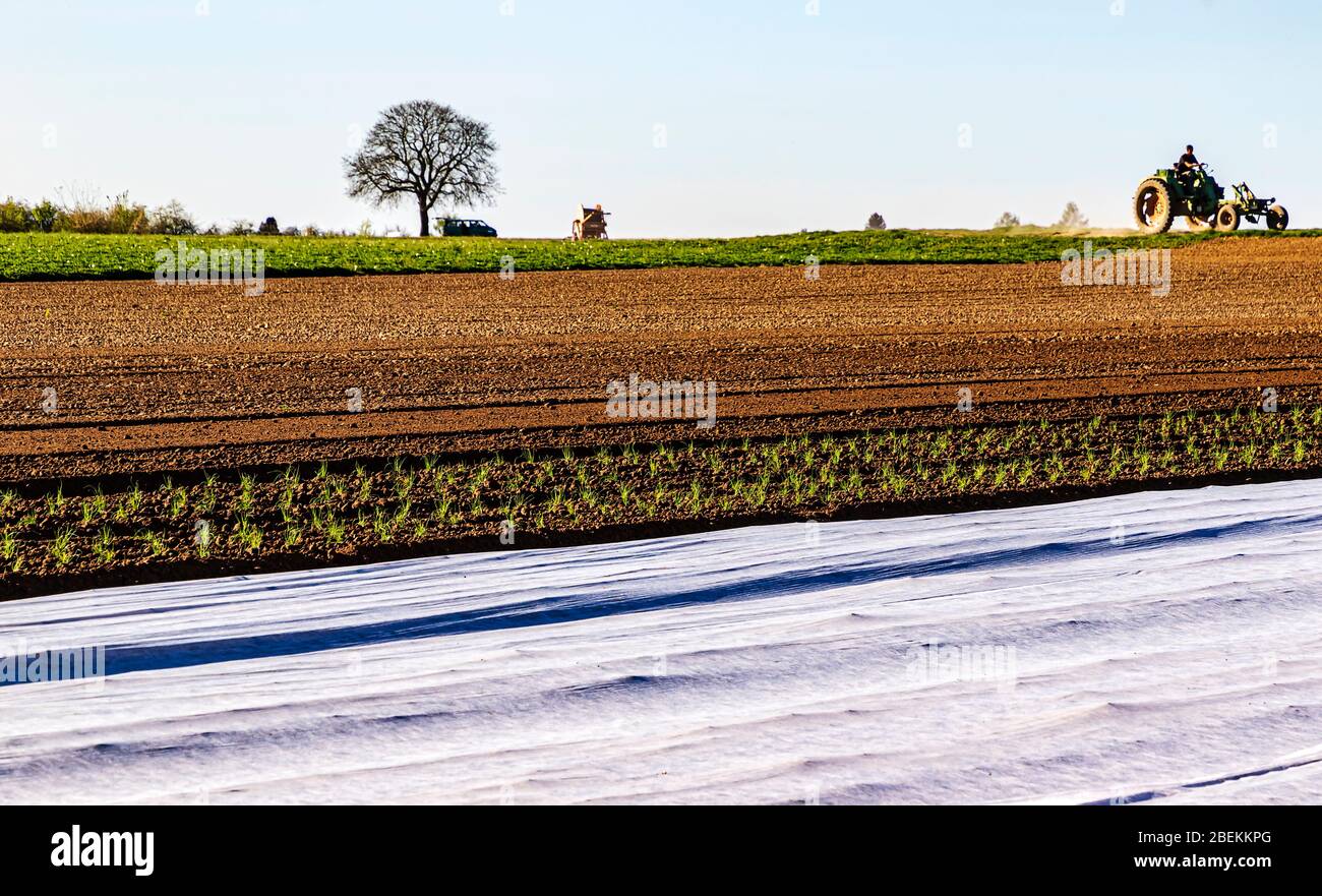 Agricultural Hessian landscape - Large-scale organic farming in Germany ...