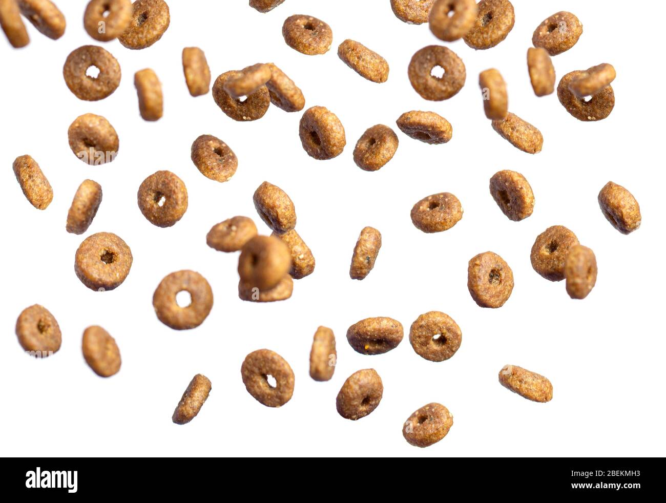 Dry cat food poured in different directions on a white background ...