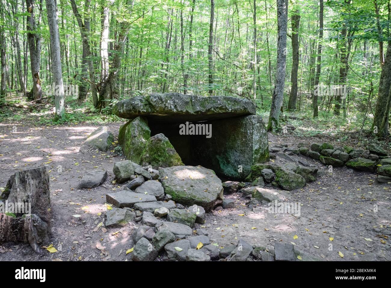 Dolmen in Shapsug. Forest in the city near the village of Shapsugskaya ...