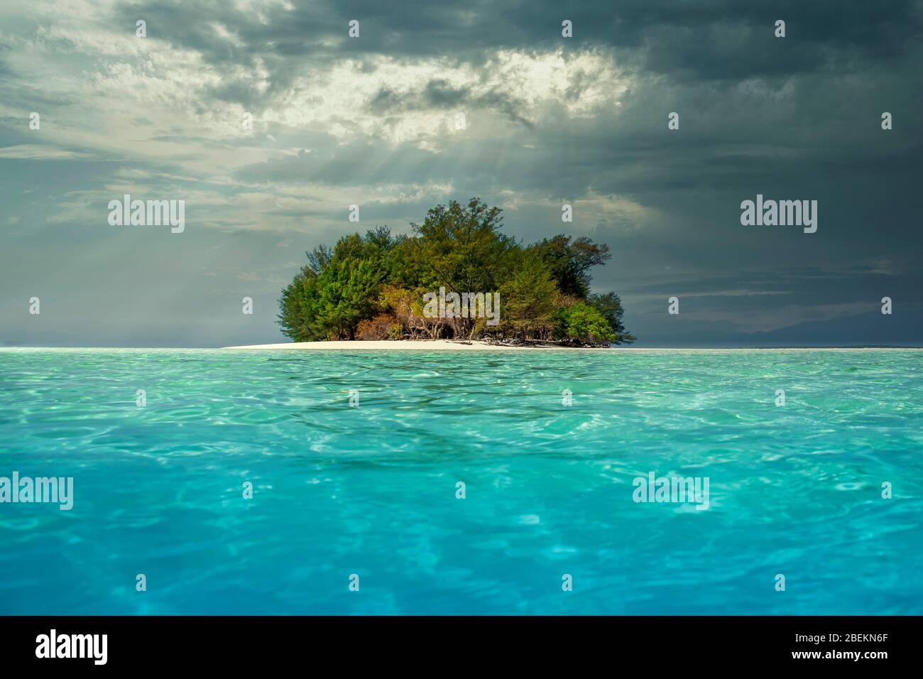 Jawa nature hi-res stock photography and images - Alamy