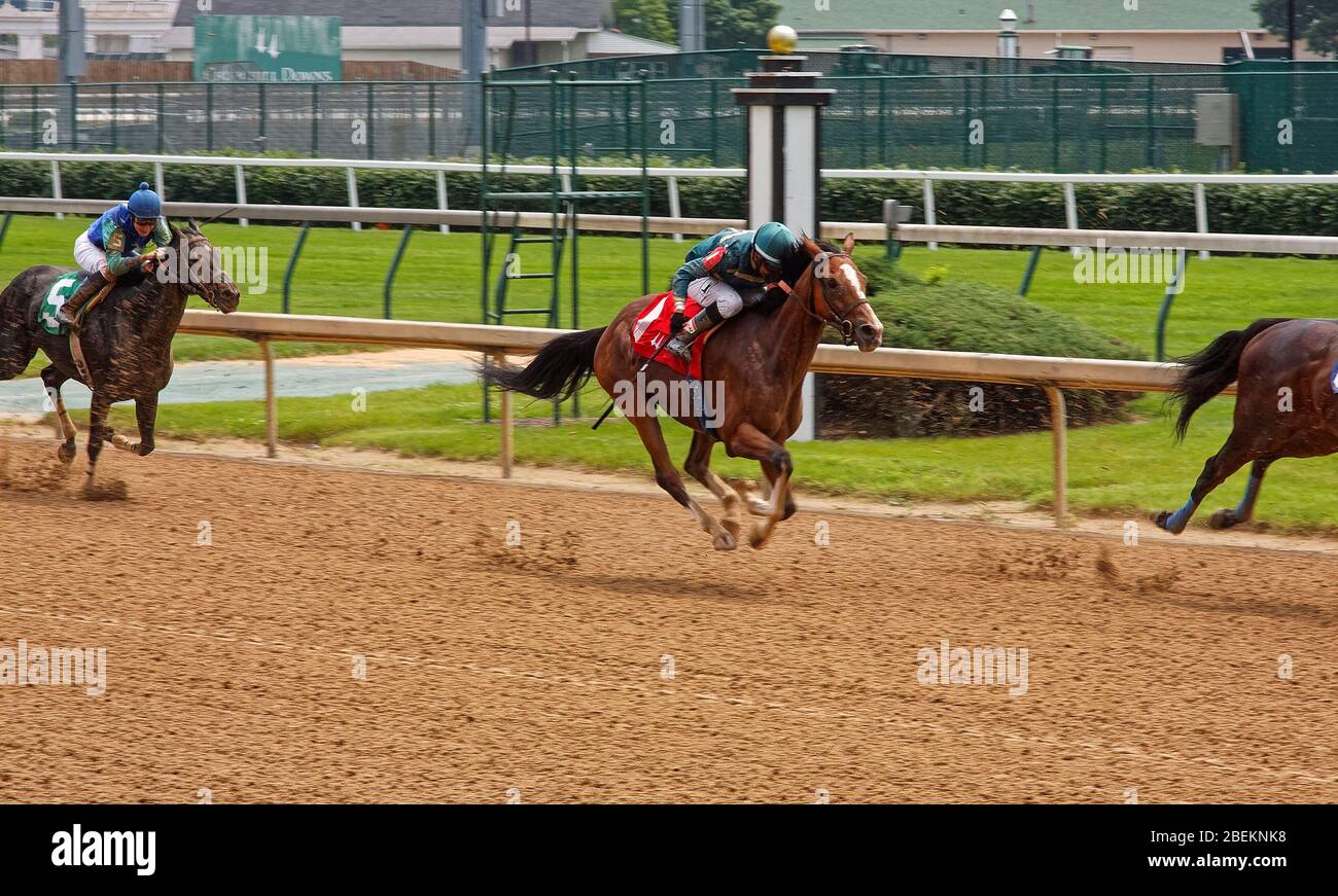 horse race, all legs of ground, dirt flying, jockies, wearing silks ...