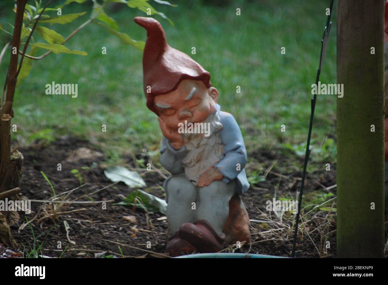 A garden gnome takes a nap Stock Photo - Alamy