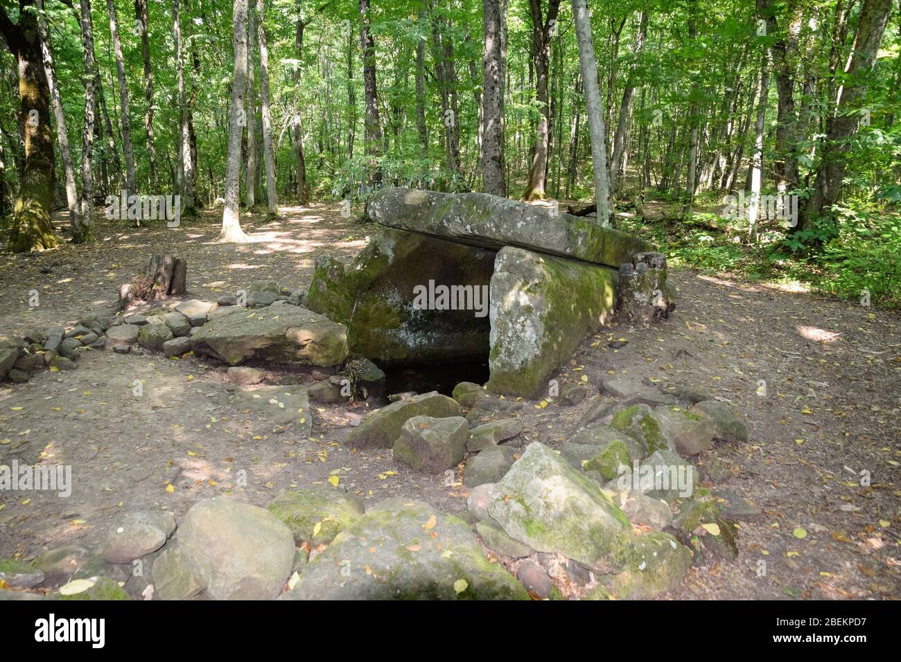 Dolmen in Shapsug. Forest in the city near the village of Shapsugskaya ...