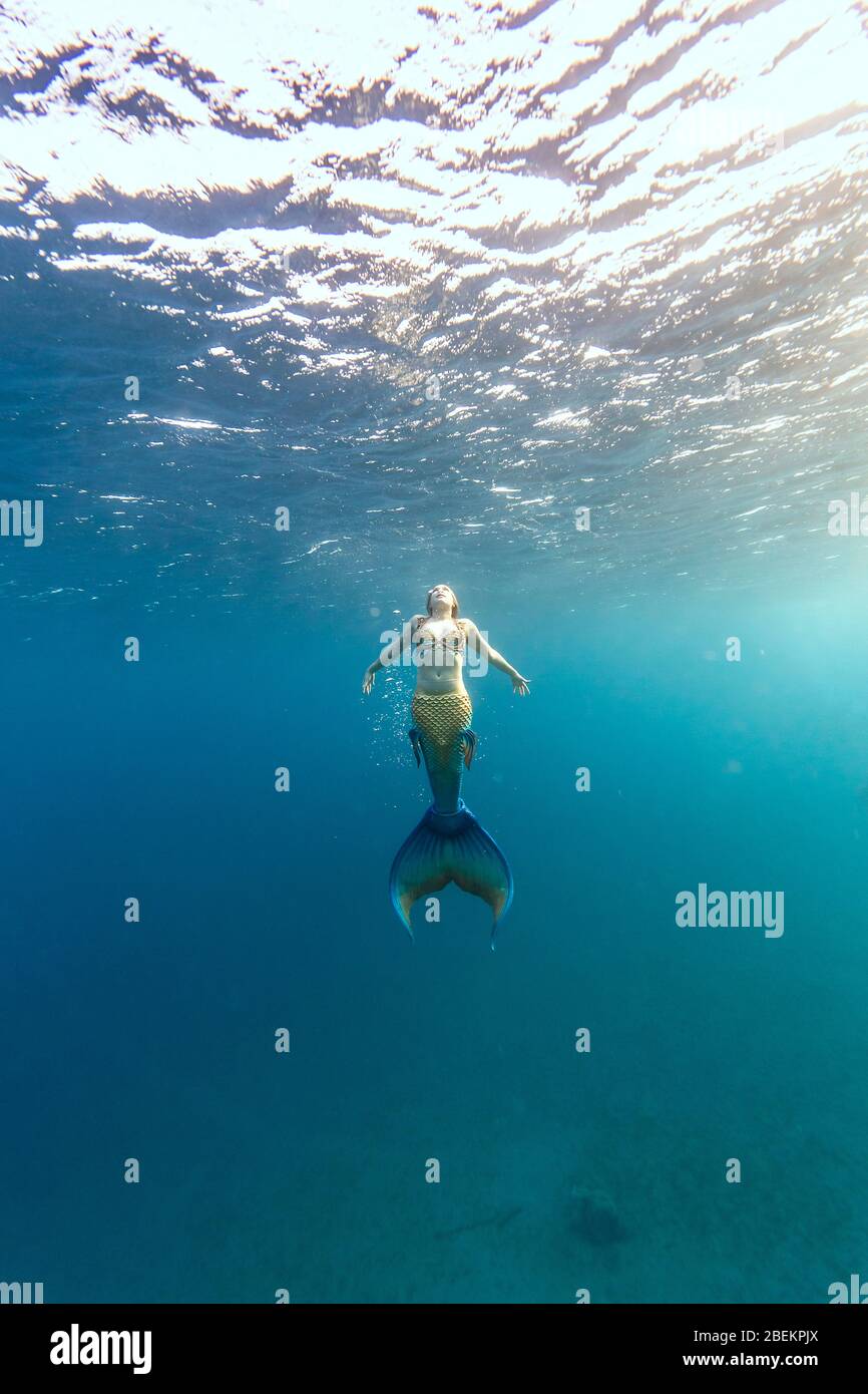 Ocean maid hi-res stock photography and images - Alamy