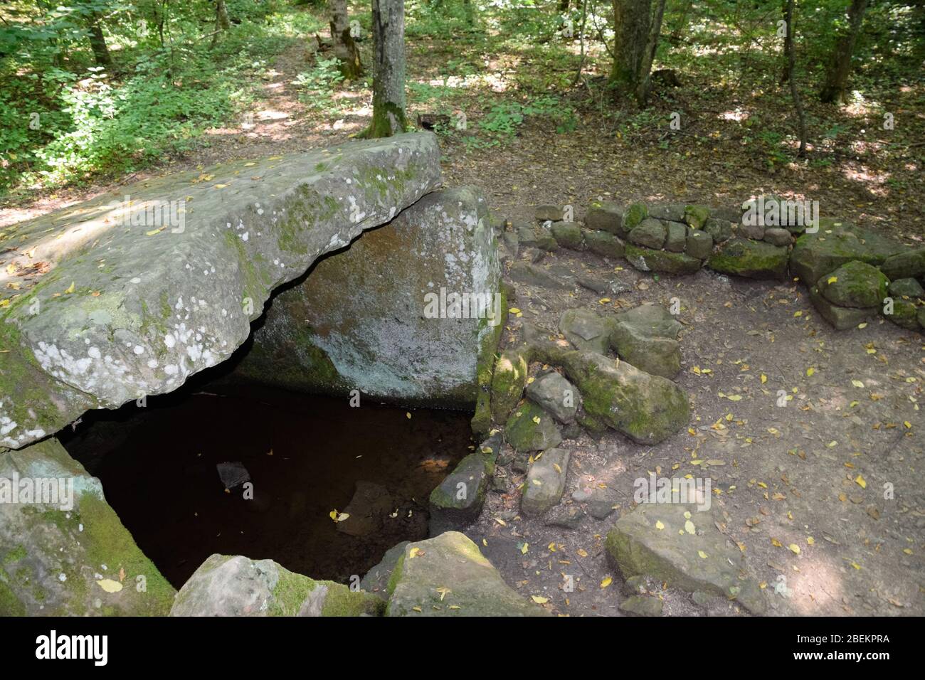 Dolmen in Shapsug. Forest in the city near the village of Shapsugskaya ...