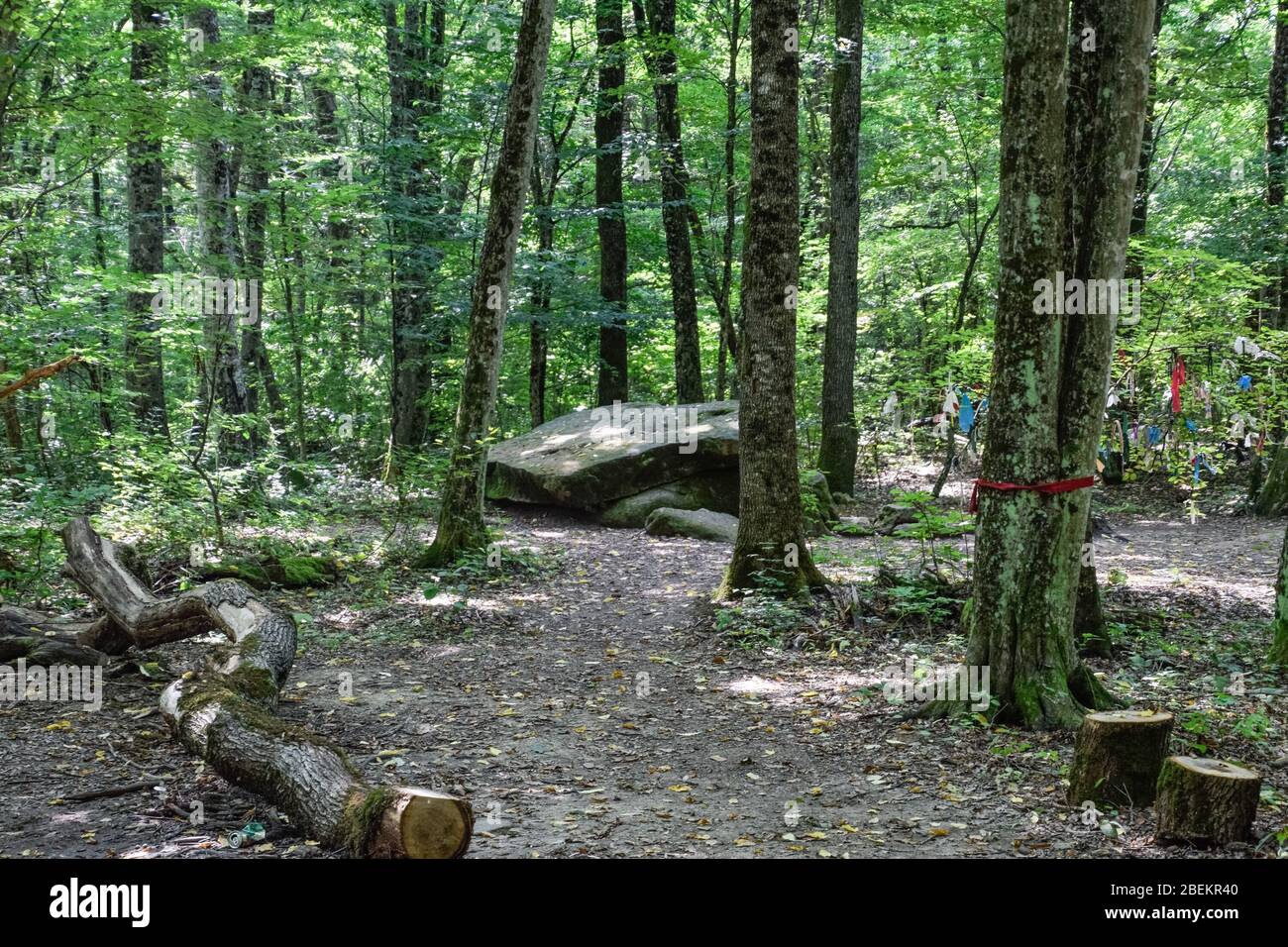 Dolmen in Shapsug. Forest in the city near the village of Shapsugskaya ...