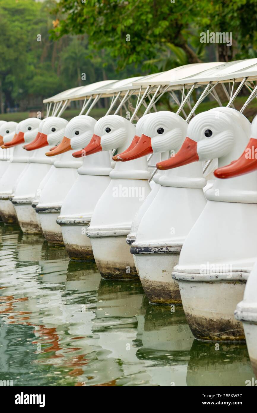 Animal pedal boats hi-res stock photography and images - Alamy