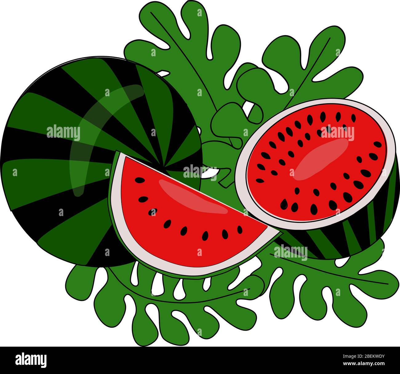 Image of watermelons, whole and halves with leaves, vector graphics on ...