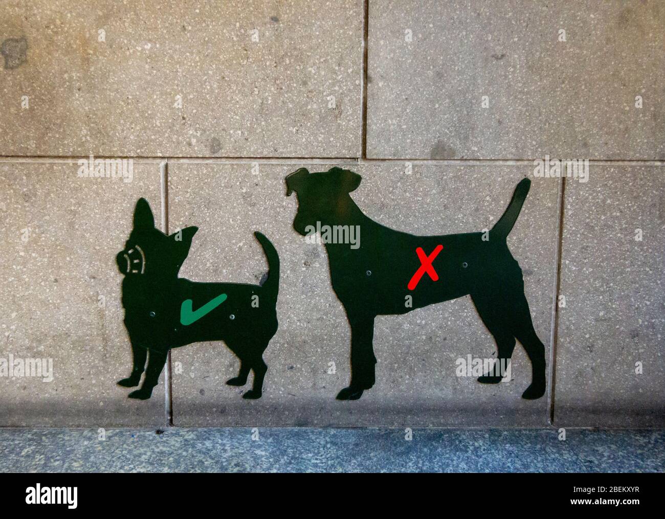 A dog sign in the ancient city of Bergamo, Italy Stock Photo - Alamy