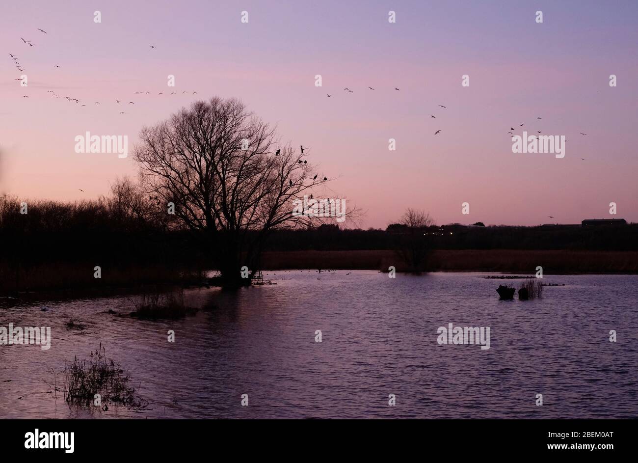 Evening skies at Stodmarsh Nature Reserve, east Kent Stock Photo - Alamy
