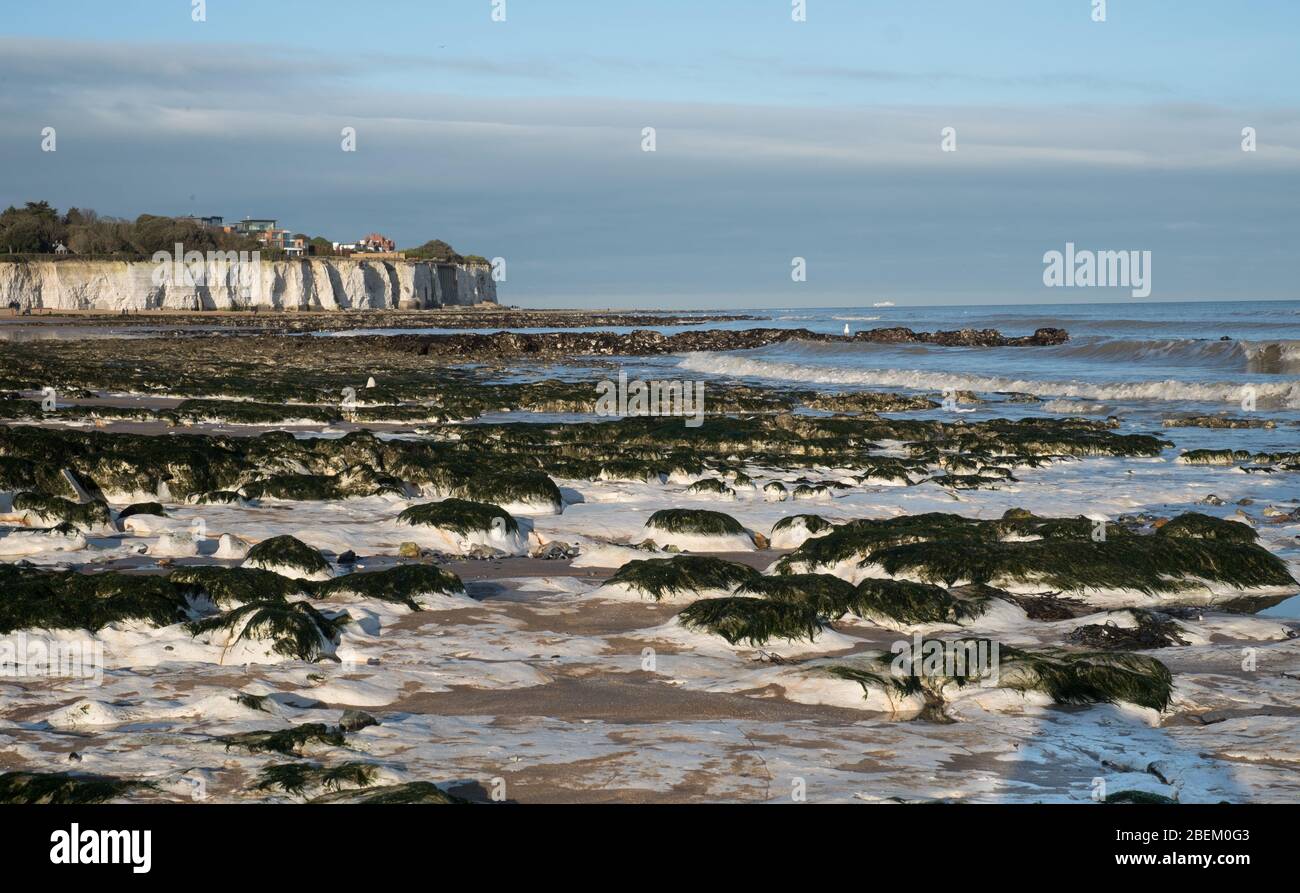 Chalk cliffs at Broadstairs, Isle of Thanet, east Kent Stock Photo - Alamy