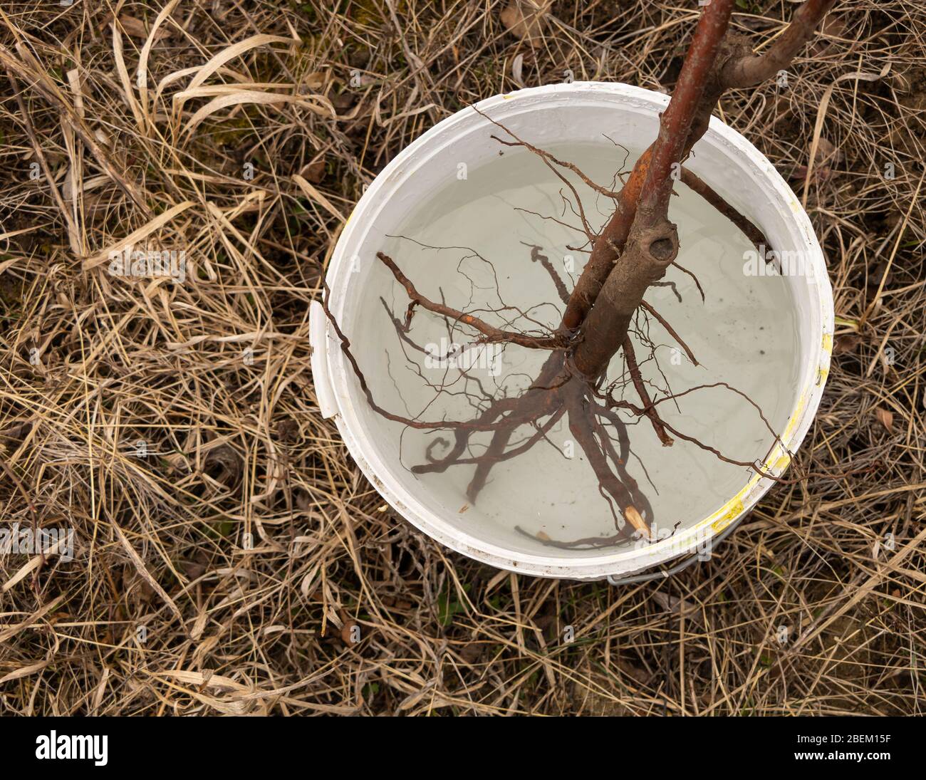 Save work when gardening hi-res stock photography and images - Alamy