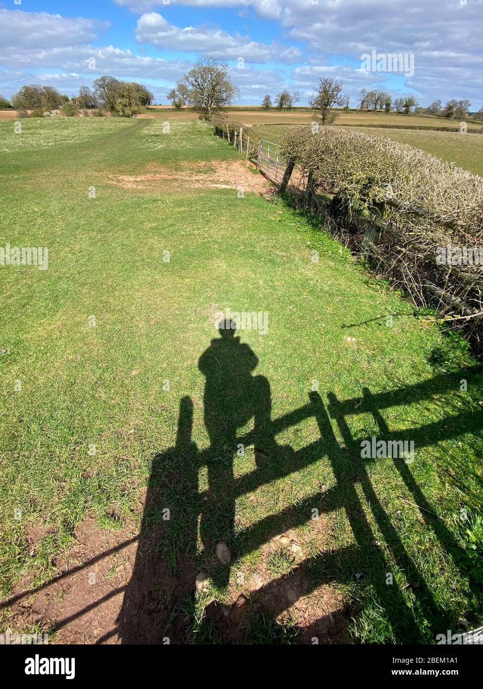 The shadow of a walker crossing a public footpath style in the glorious ...
