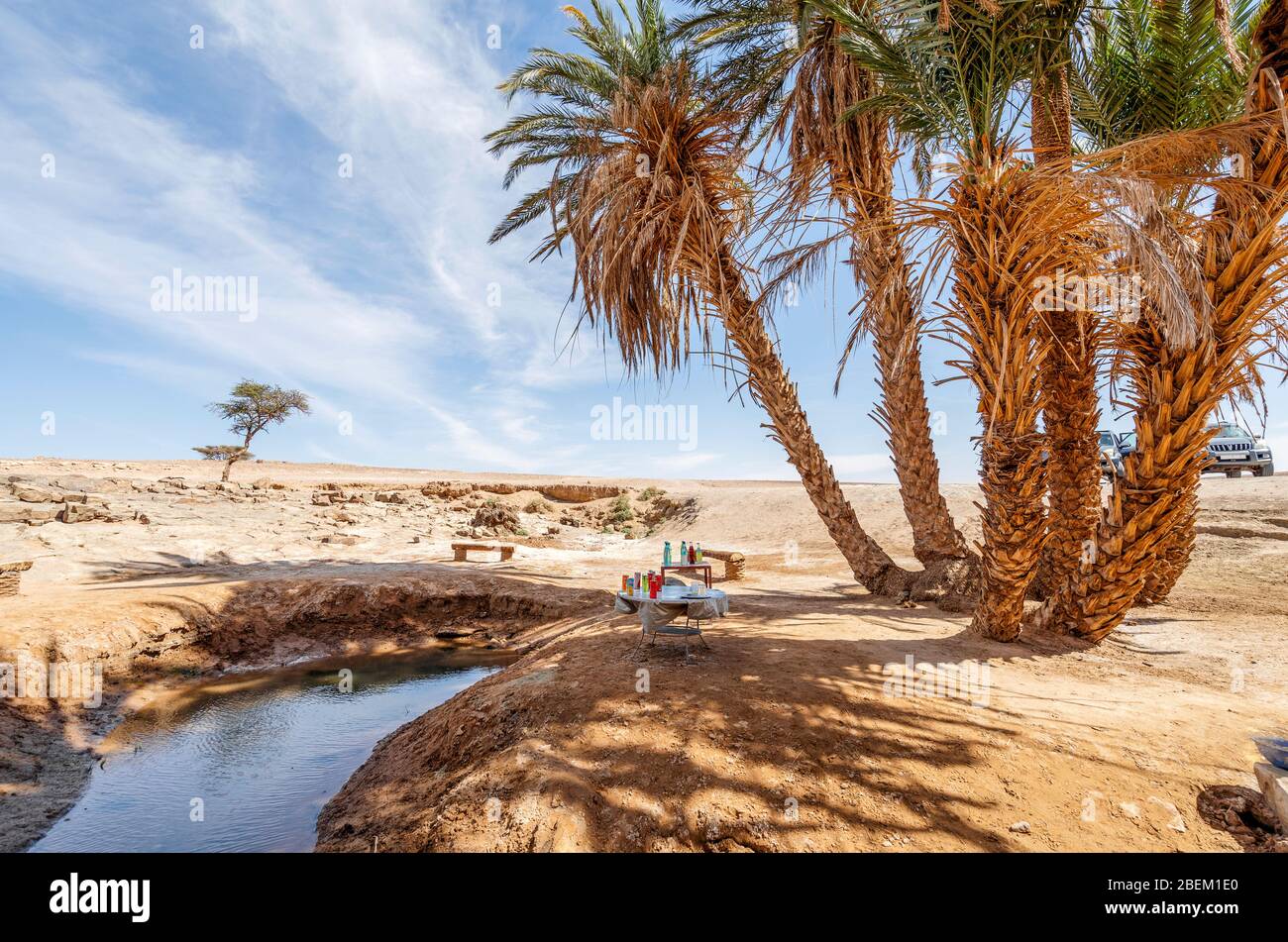 Oasis with palm trees on Sahara dessert, Morocco, Africa Stock Photo ...