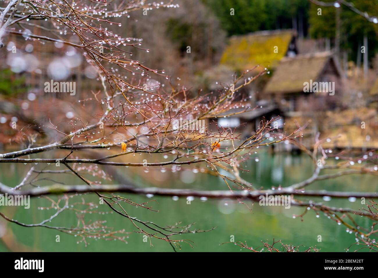 Pond and Hida Folk Village (Hida no Sato) with traditional HIda region ...