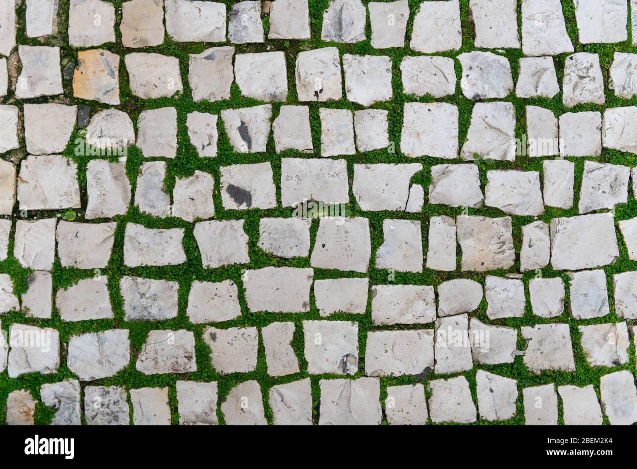 Road stone background texture, street tile texture top view Stock Photo ...