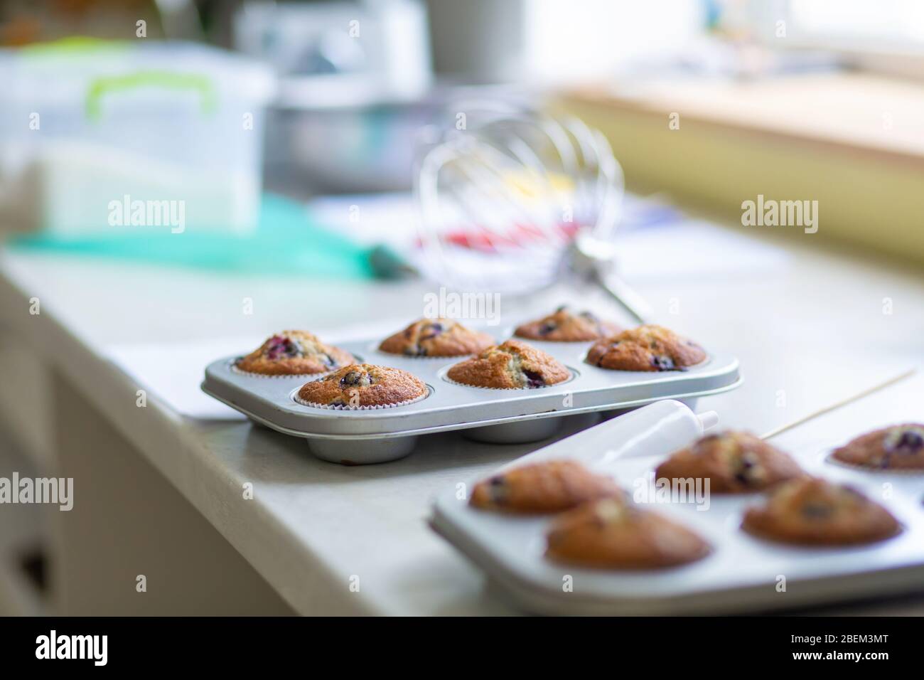 Confectioner took out freshly baked muffins in a baking dish on the ...