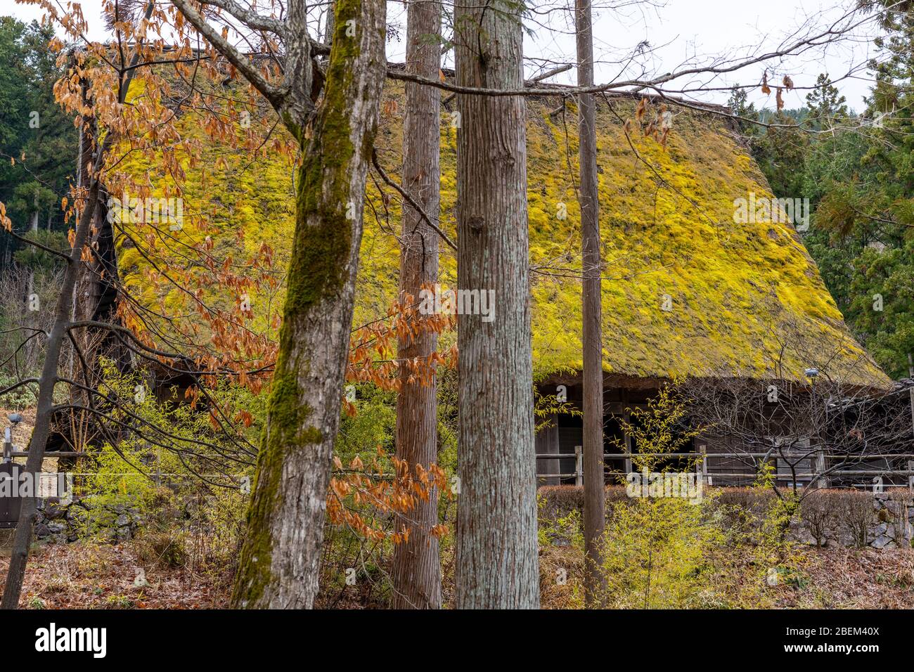 Hida Folk Village (Hida no Sato) with traditional HIda region houses ...