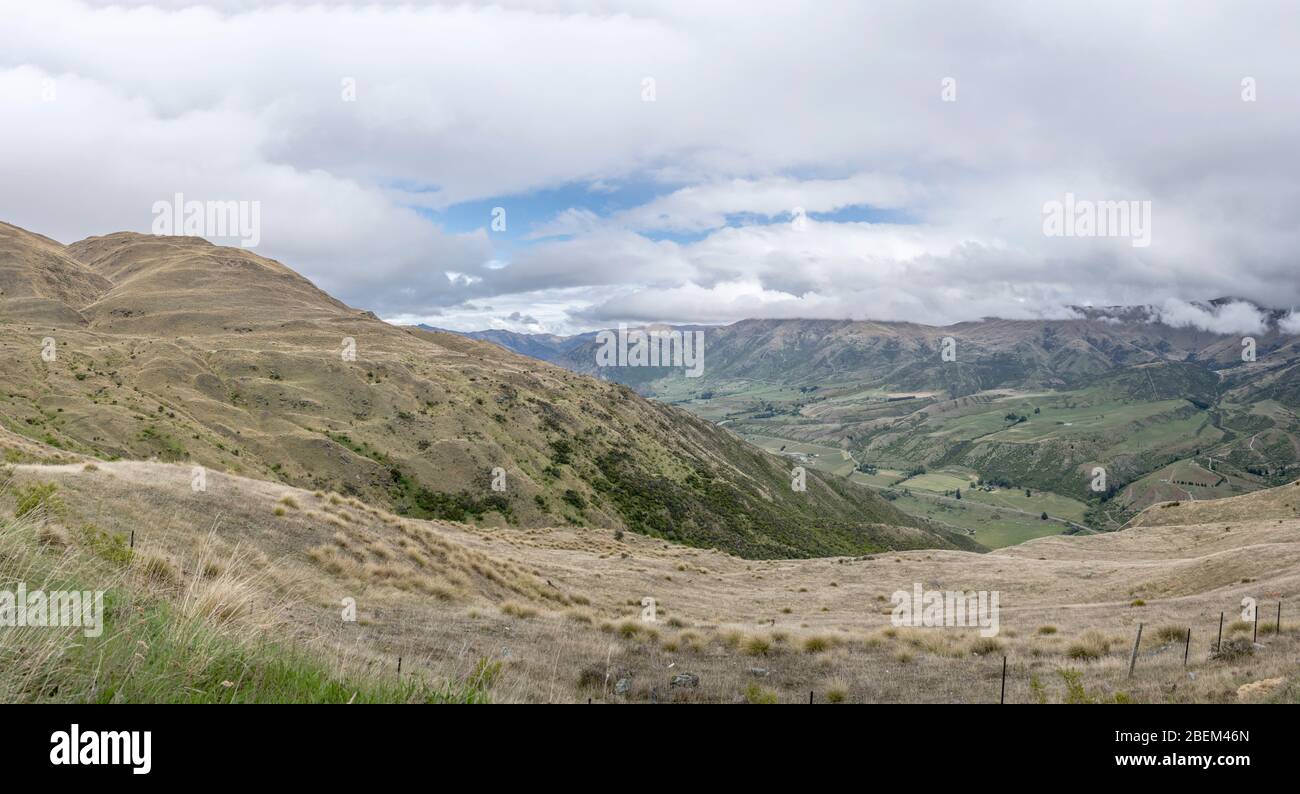Red tussock grass hi-res stock photography and images - Alamy