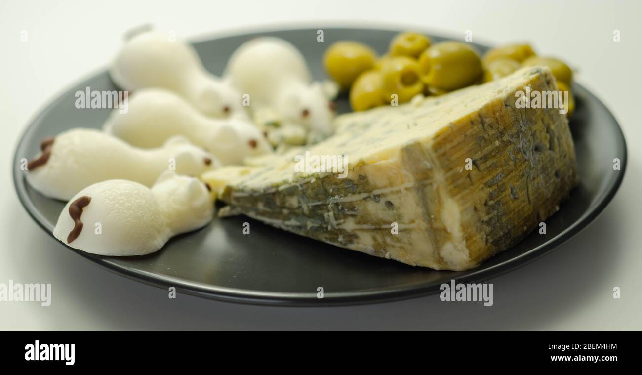 Full fat soft blue veined cheese with olives and snacks in the shape of ...