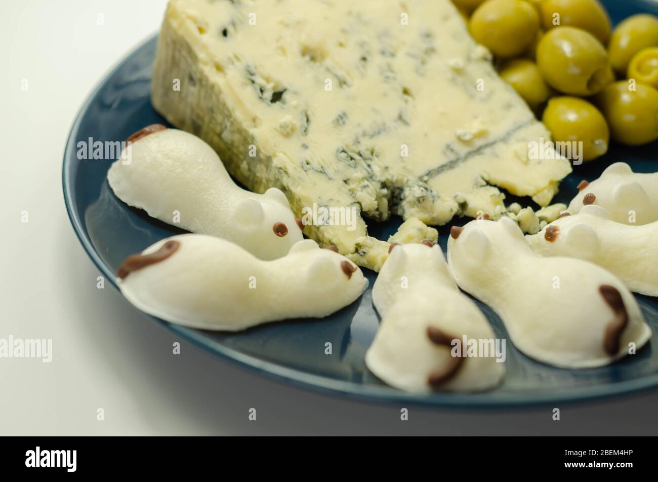 Full fat soft blue veined cheese with olives and snacks in the shape of ...
