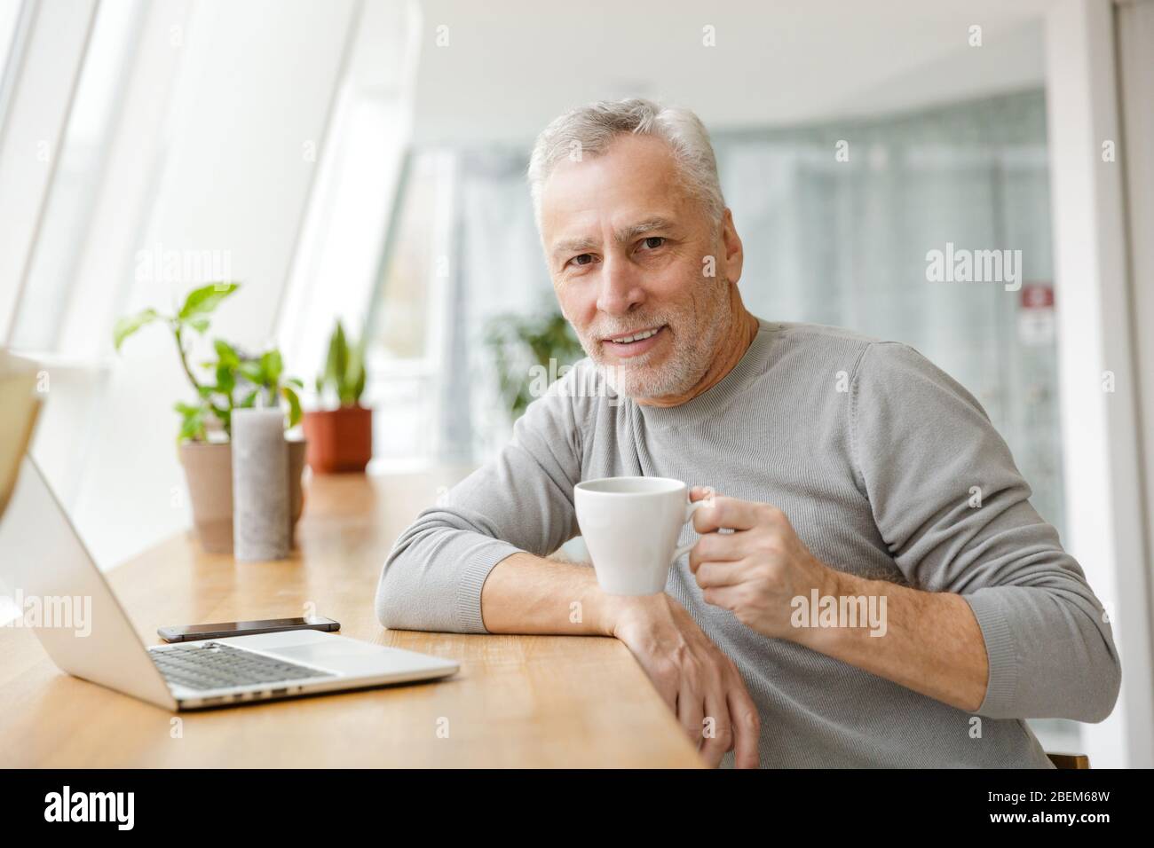 Image of a positive mature senior businessman sit in cafe using laptop ...