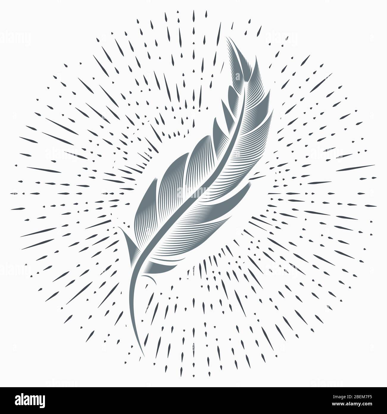 Feather rays Stock Vector Images - Alamy