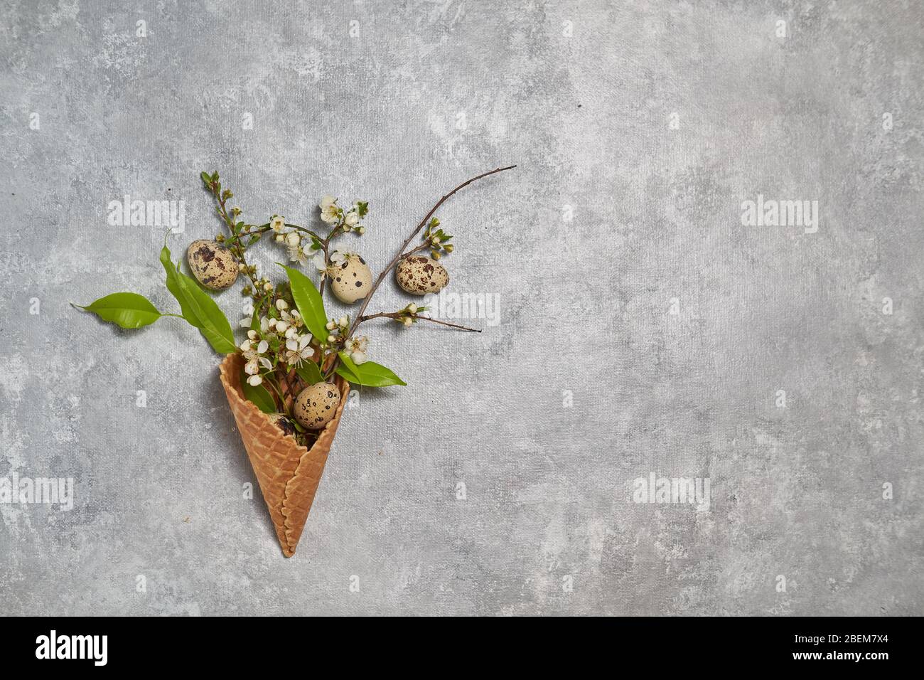 easter composition. quail eggs and green leaves in a waffle cone on a ...