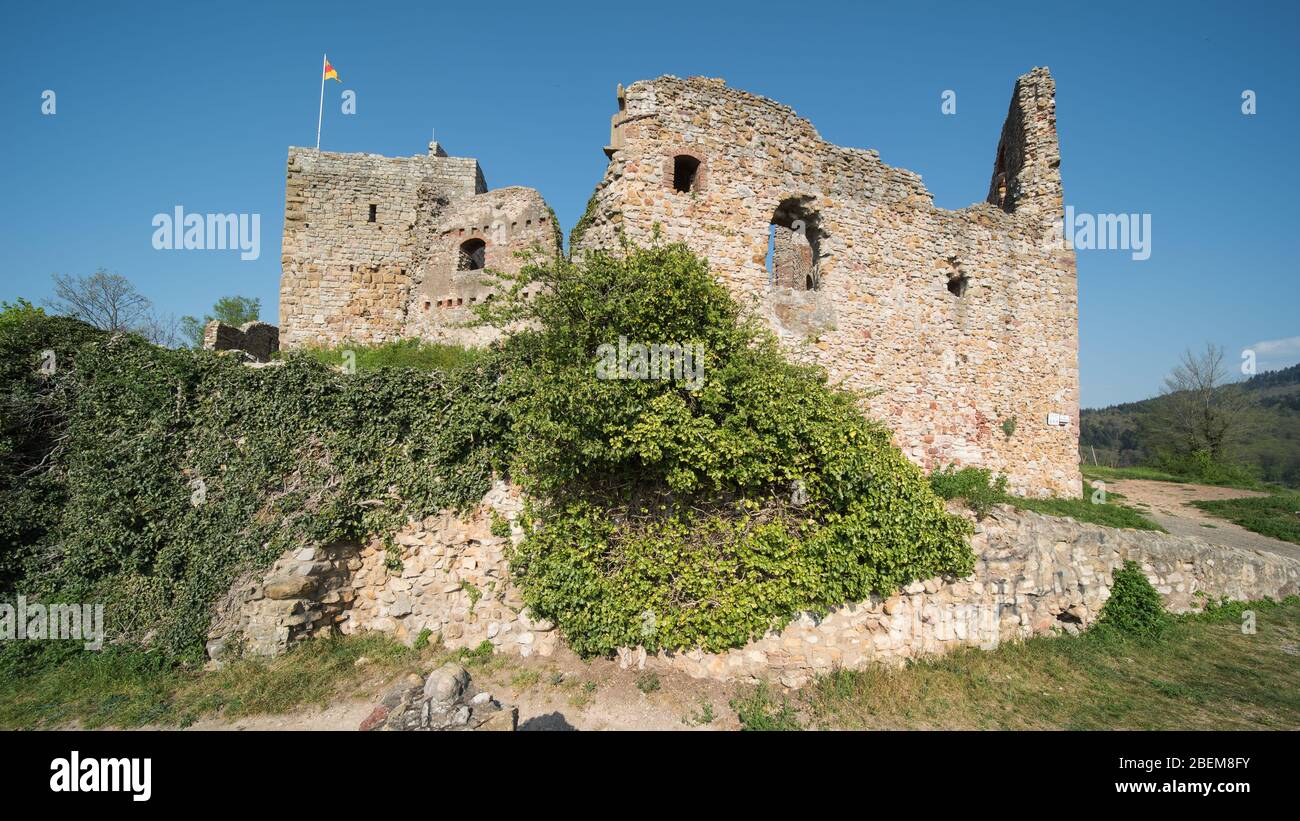 ruine Staufen in southern Germany, the castle is on a vineyard Stock ...