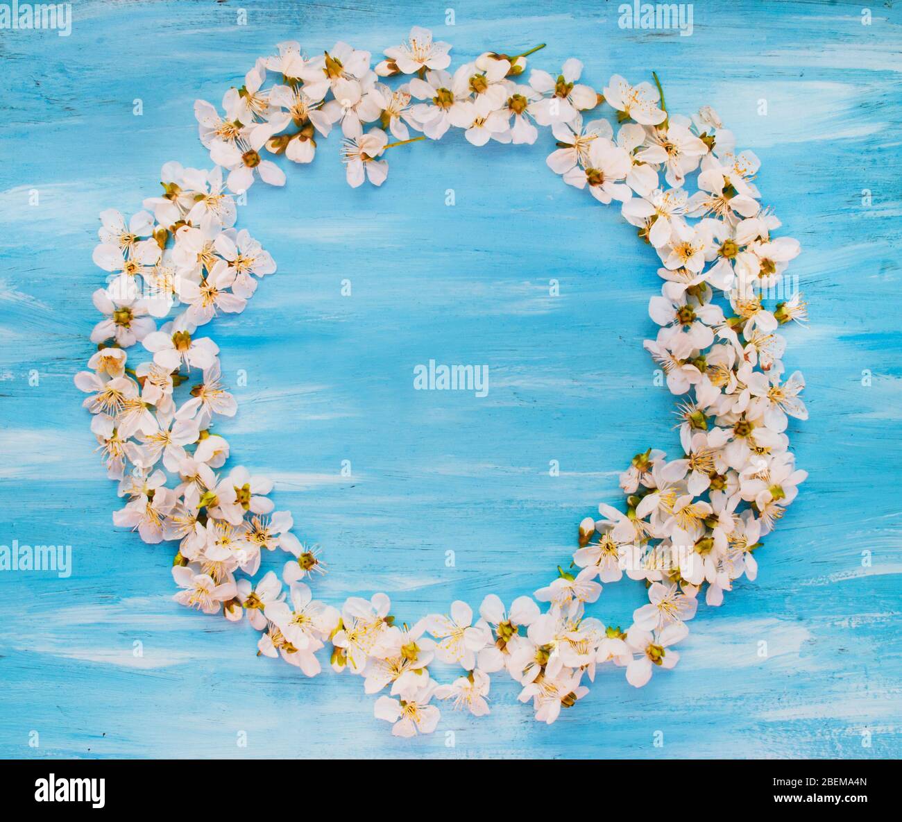 Floral frame of white flowers on a blue wooden board. Place for text ...