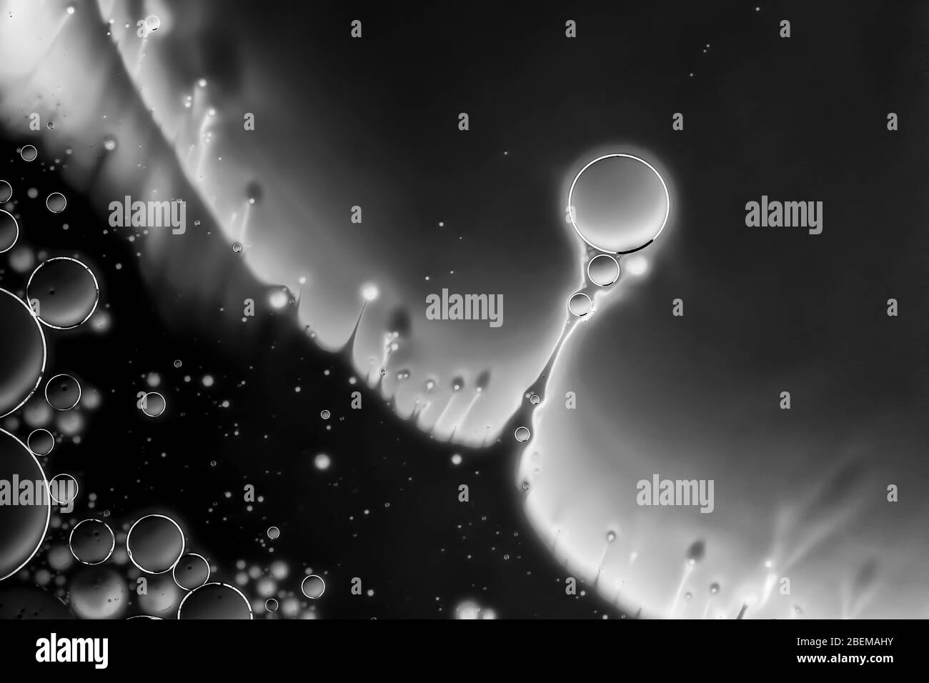 Macro art and design Black and White Stock Photos & Images - Alamy