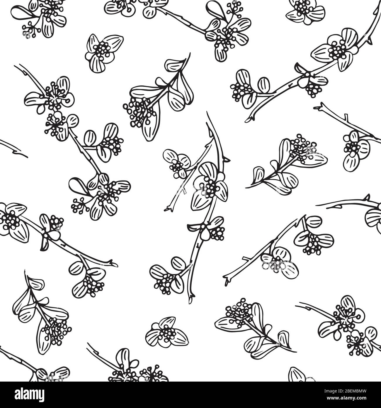 Delicate twigs Black and White Stock Photos & Images - Alamy