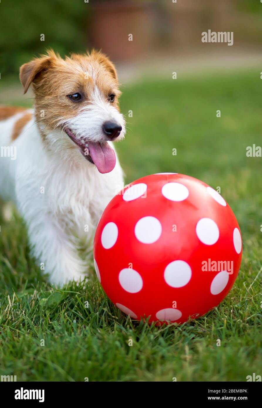 Dotted ball hi-res stock photography and images - Alamy
