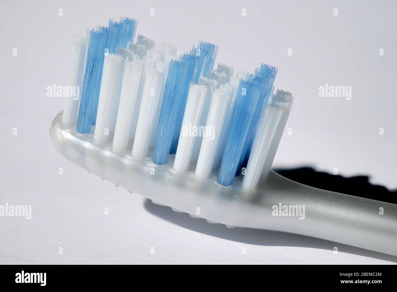 Isolated toothbrush on white background Stock Photo - Alamy