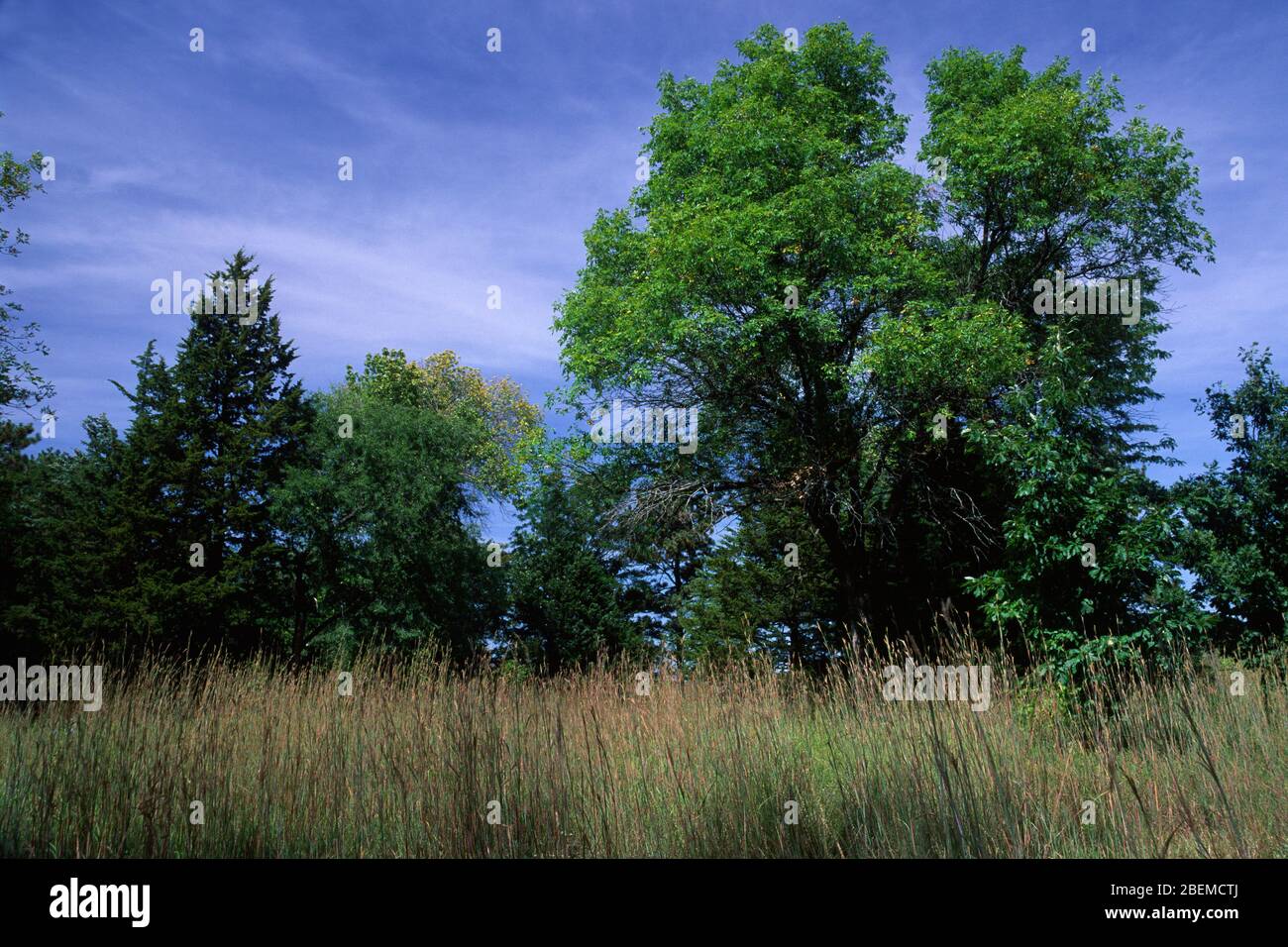 Pioneer park nature center nebraska hi-res stock photography and images ...