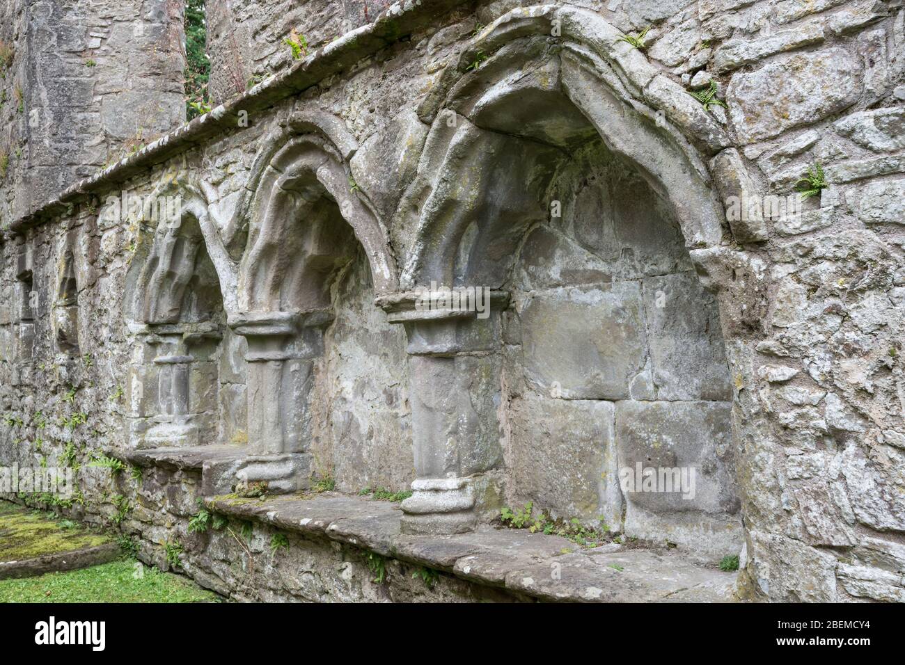 Wall detail of a scottish abbey Stock Photo - Alamy