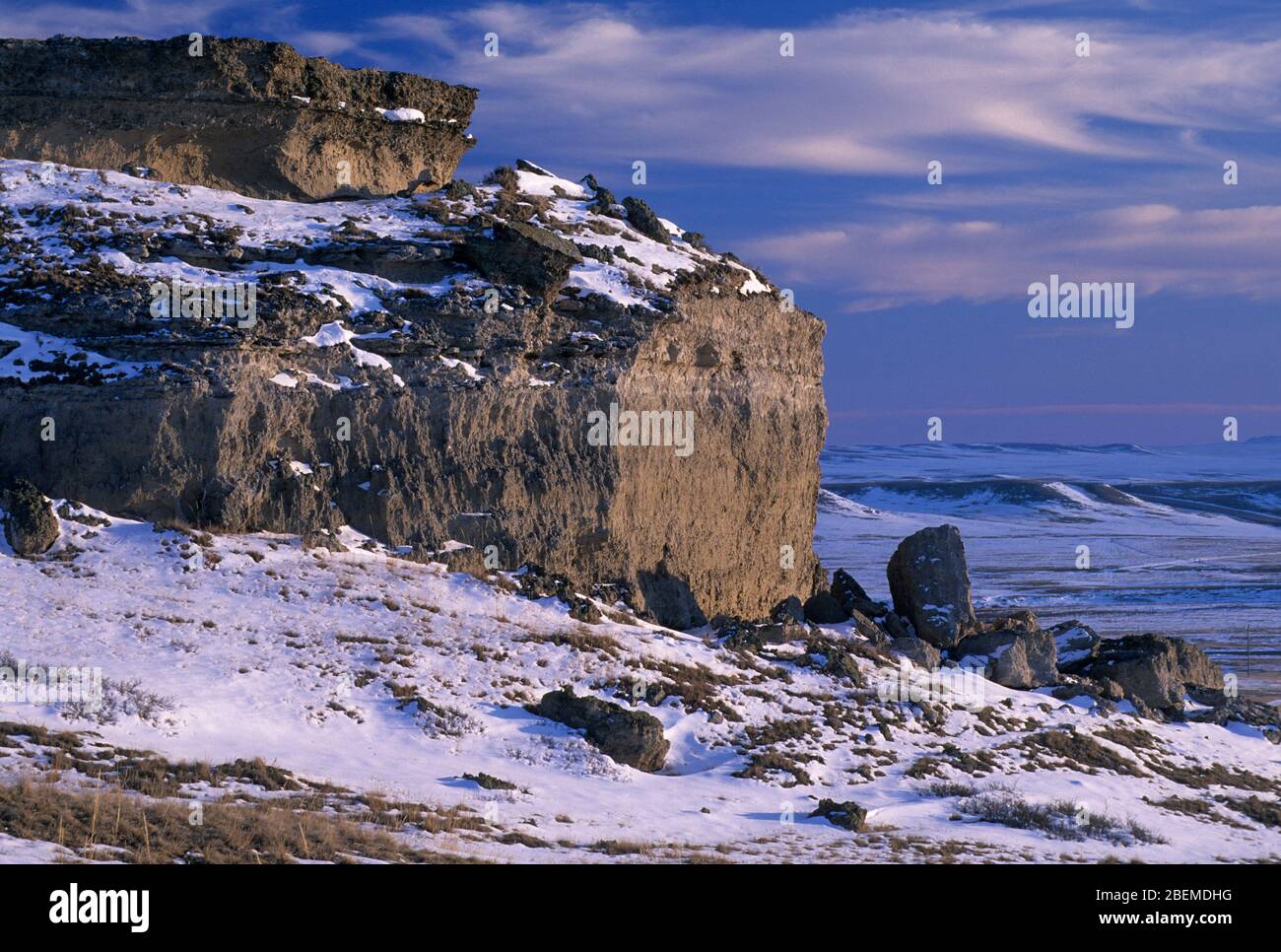 Daemonelix hi-res stock photography and images - Alamy