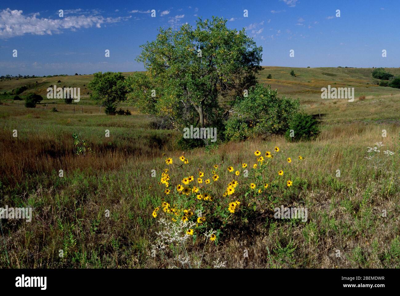 Nature Trail view, Ashfall Fossil Beds State Historical Park, Nebraska ...