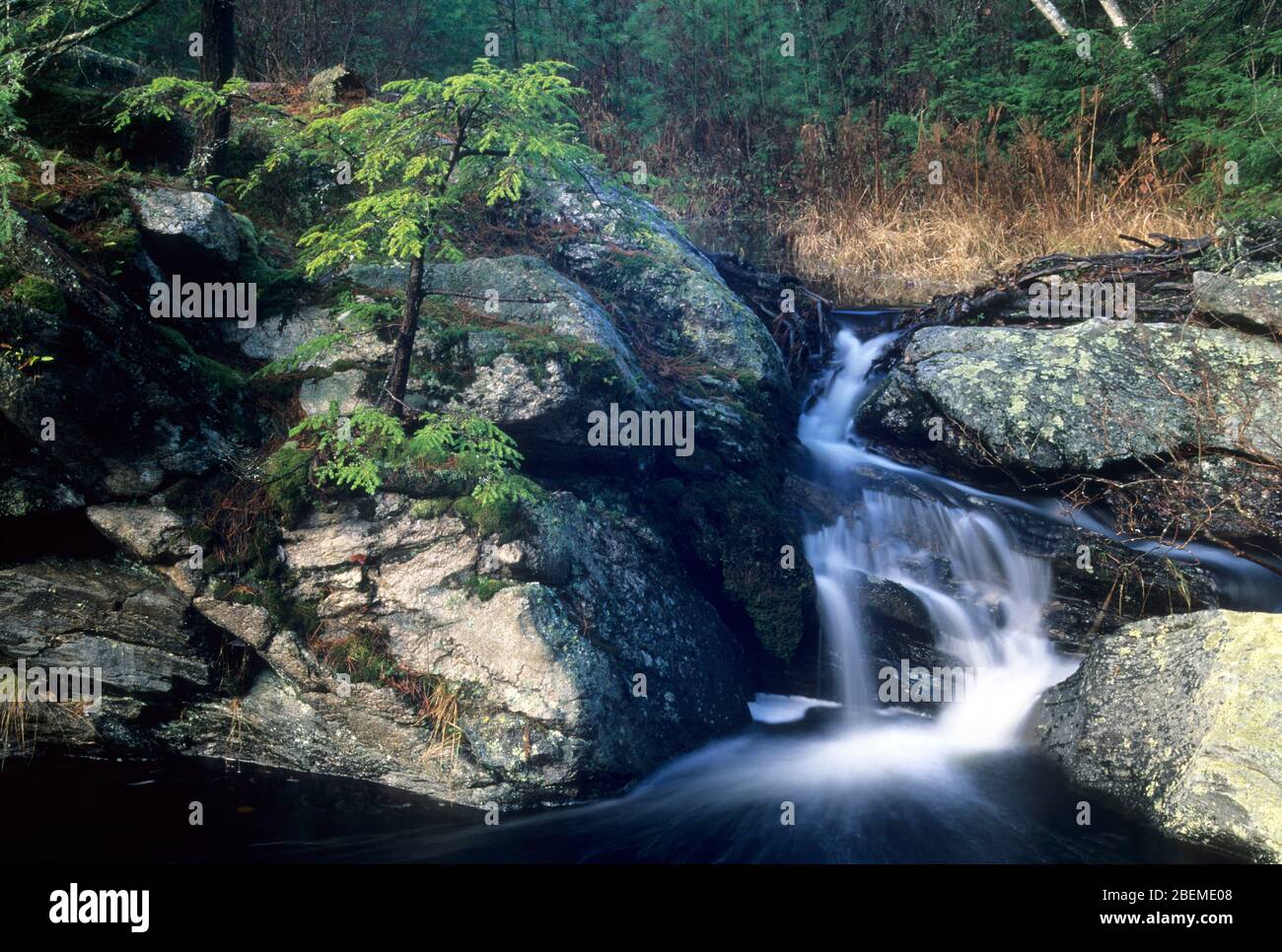 Pulpit rock conservation area hi-res stock photography and images - Alamy Pulpit rock conservation area hi-res stock photography and images - Alamy