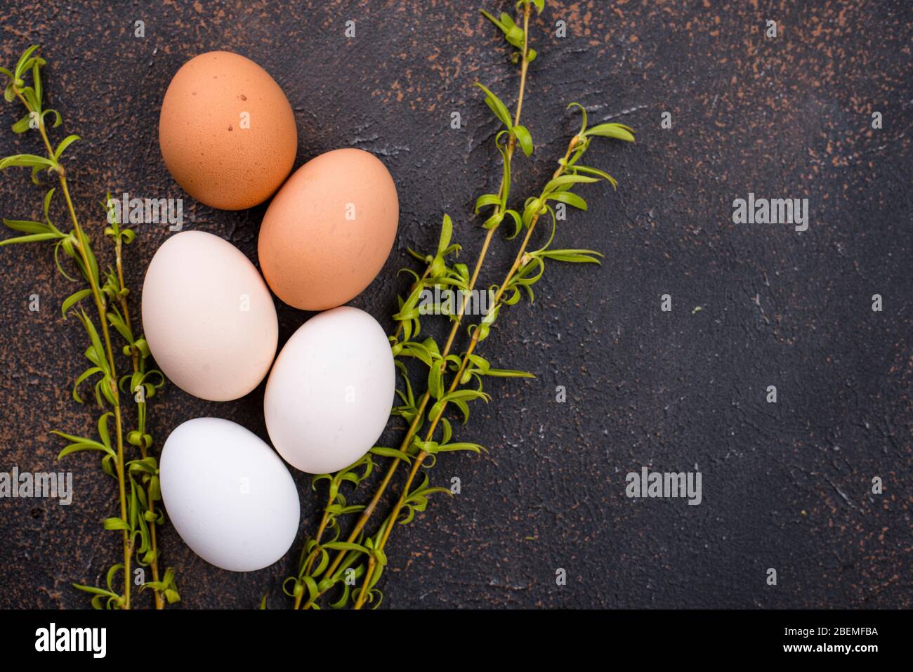 Chicken eggs gradient from light to dark Stock Photo - Alamy