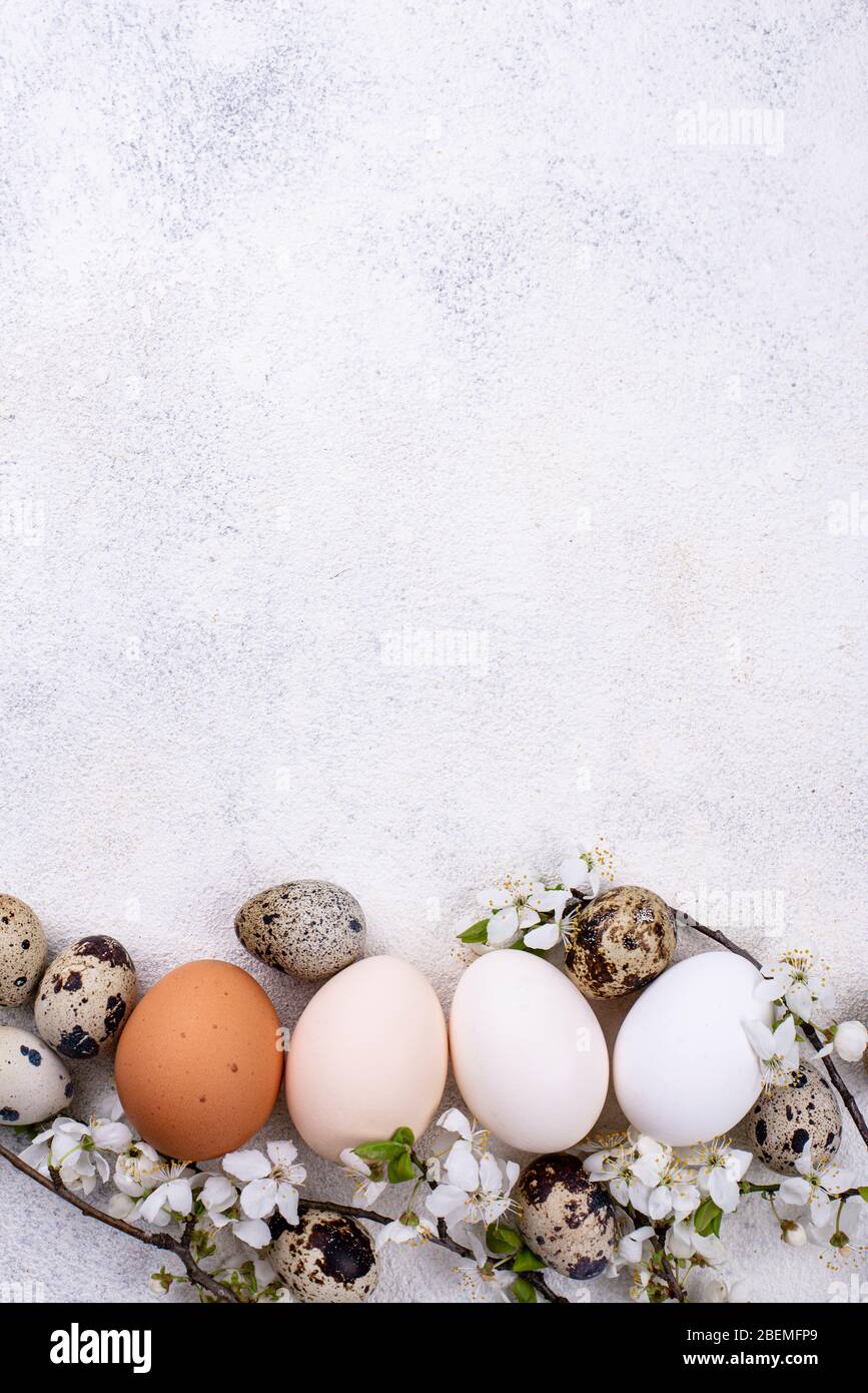 Chicken eggs gradient from light to dark Stock Photo - Alamy