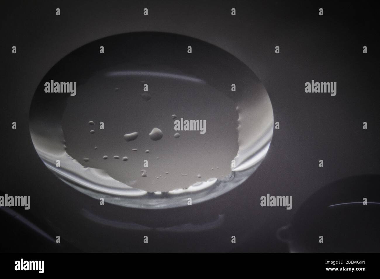 Macro shots bubbles look floating are cooking oil mixed with water on ...